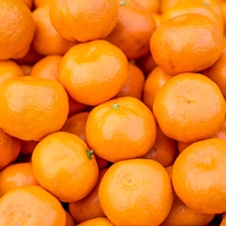 Perfumers Apprentice - Mandarin Aldehyde 10% (Firmenich)