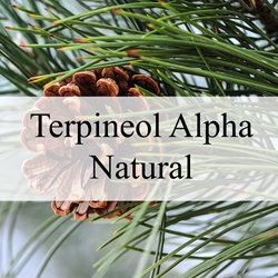 Perfumers Apprentice - Terpineol Alpha (Natural)