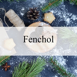 Perfumers Apprentice - Fenchol