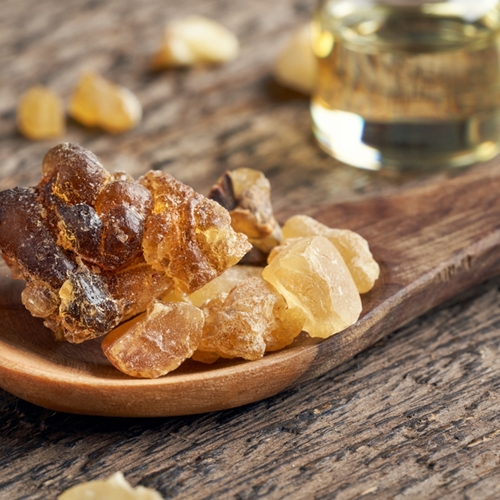 Perfumers Apprentice - Olibanum Absolute (Robertet)