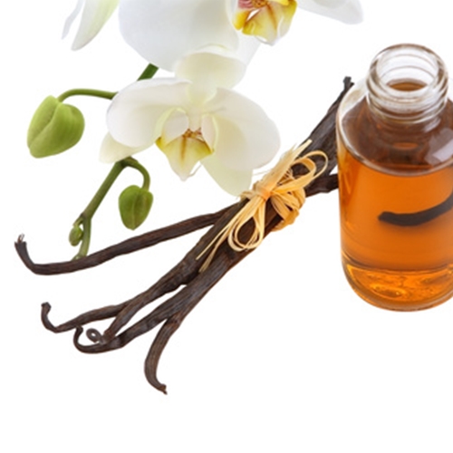 Perfumers Apprentice - Vanilla Bean - Key Accord (Fragrance)