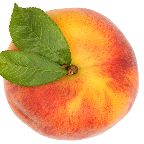 Perfumers Apprentice - Gamma Decalactone