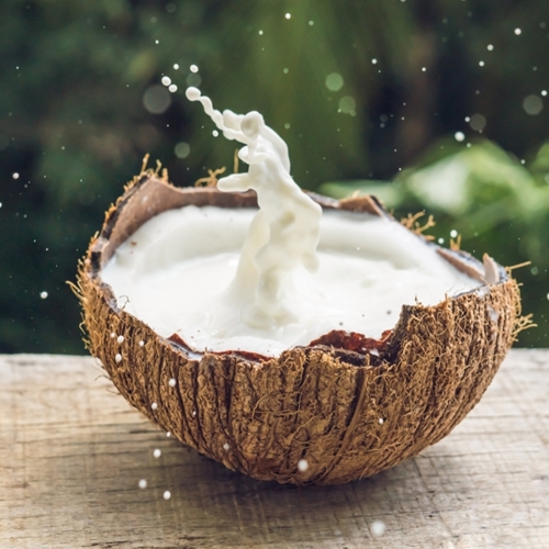 Perfumers Apprentice - Methyl Laitone 10% in DPG (Givaudan)