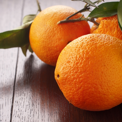 Perfumers Apprentice - Orange Bitter - Italy