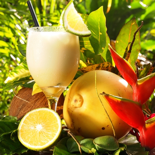 Perfumers Apprentice - Pina Colada Flavor