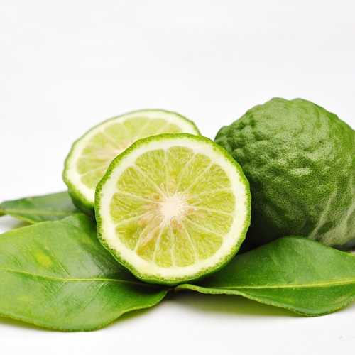 Perfumers Apprentice - Linalyl Acetate (Natural)