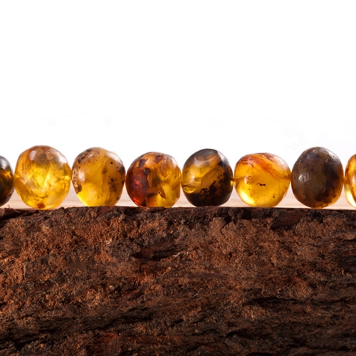 Perfumers Apprentice - Karmawood™ (IFF)