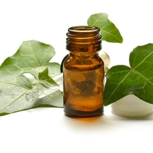 Perfumers Apprentice - Ivy Base (Firmenich)