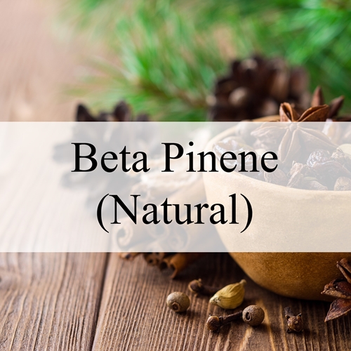 Perfumers Apprentice - Beta Pinene (Natural)