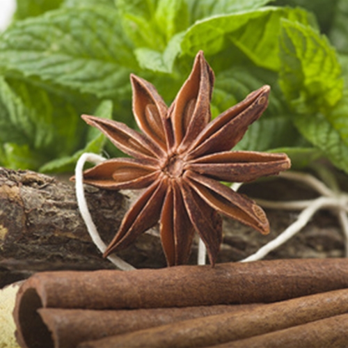 Perfumers Apprentice - Canthoxal