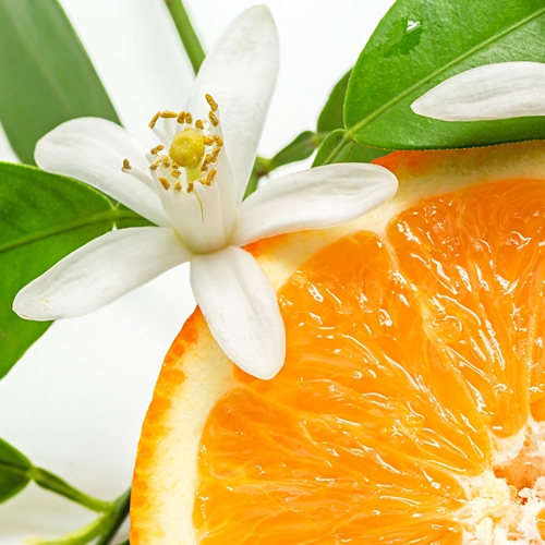Perfumers Apprentice - Orange Flower Ether (IFF)
