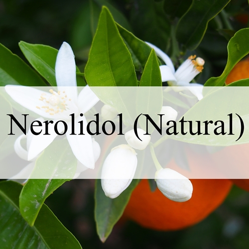 Perfumers Apprentice - Nerolidol (Natural)