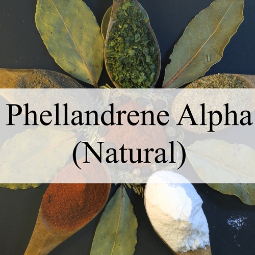 Perfumers Apprentice - Phellandrene Alpha (Natural)