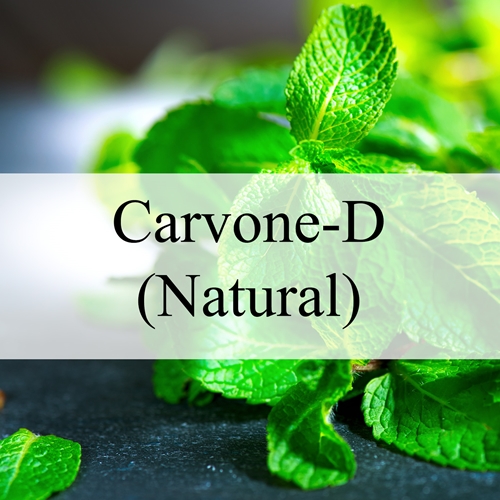 Perfumers Apprentice - Carvone-D (Natural)