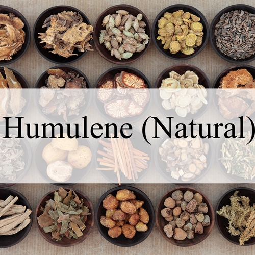 Perfumers Apprentice - Humulene (Natural)