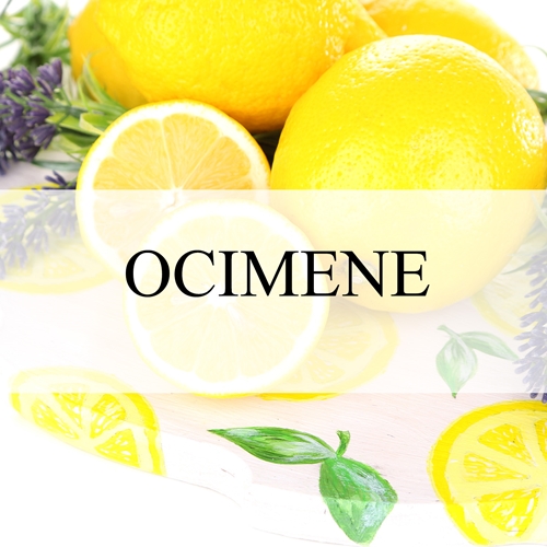 Perfumers Apprentice - Ocimene