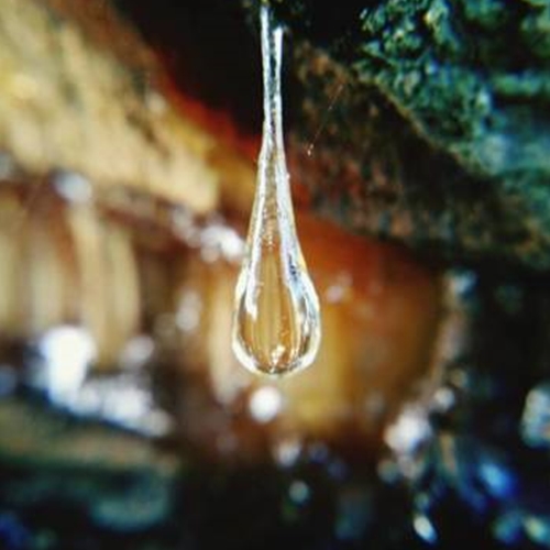 Perfumers Apprentice - Benzoin Oliffac 63 (DEPR) IFF