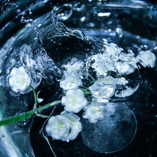 Perfumers Apprentice - Aquaflora™ (IFF)