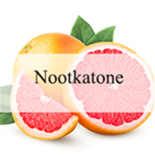 Perfumers Apprentice - Nootkatone (Crystals) 98%