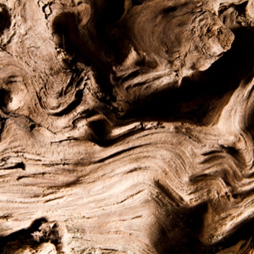 Perfumers Apprentice - Amyris Wood (Haiti)