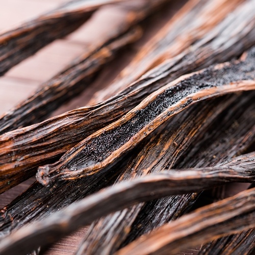 Perfumers Apprentice - Vanilla Absolute (50% BB)