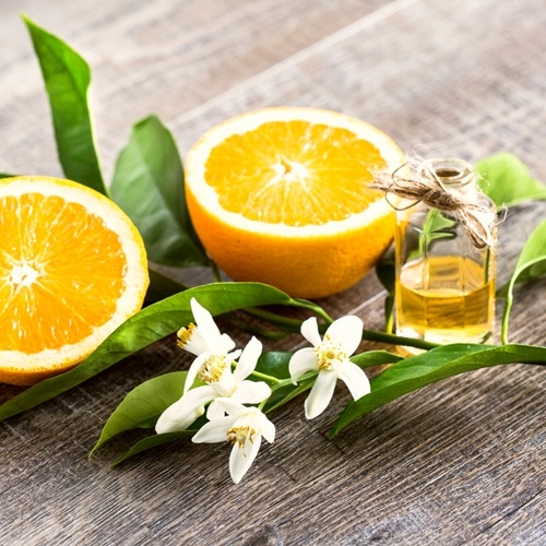 Perfumers Apprentice - Bisabolene (Givaudan)