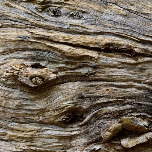 Perfumers Apprentice - Siam Wood Oil