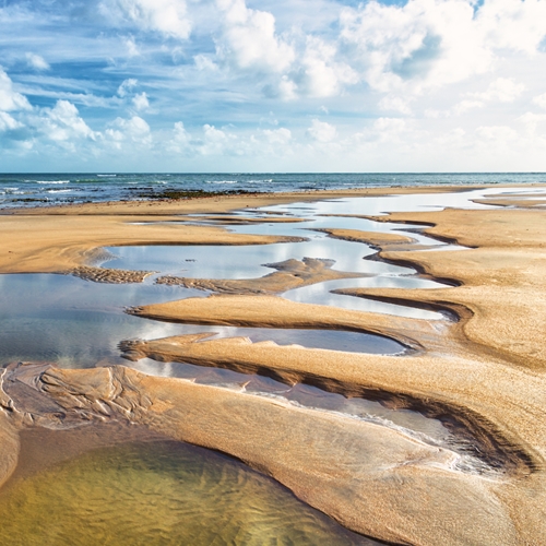 Perfumers Apprentice - Algix (Synarome)