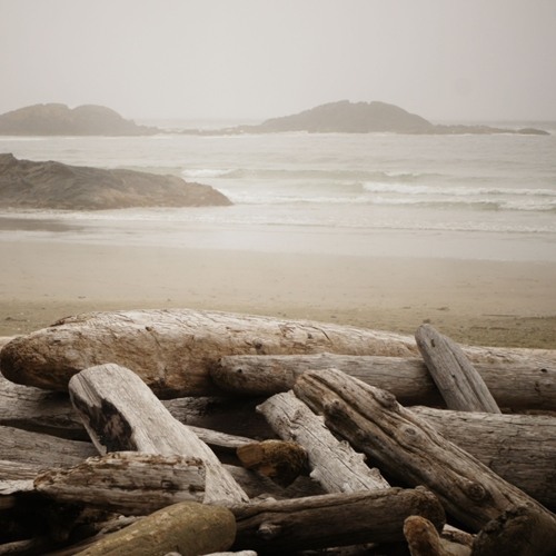 Perfumers Apprentice - Andrane (IFF)