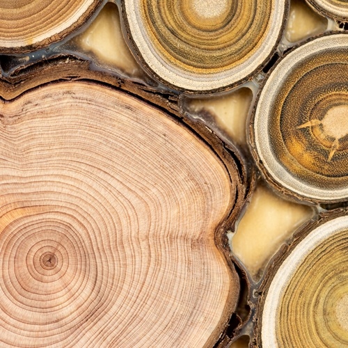 Perfumers Apprentice - Firsantol (Firmenich)