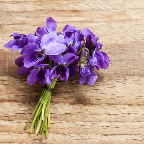 Perfumers Apprentice - Methyl Ionone Beta Coeur (IFF)