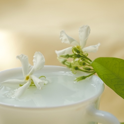 Perfumers Apprentice - Kharismal® (IFF)