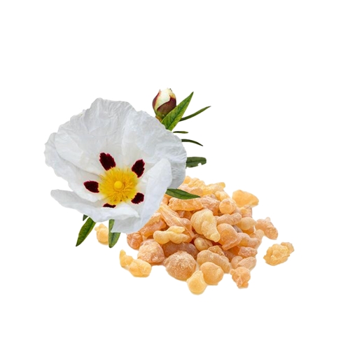 Perfumers Apprentice - Incense