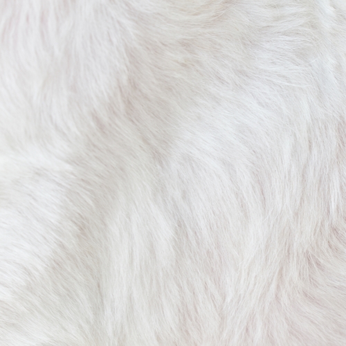 Perfumers Apprentice - Scentolide (Synarome)