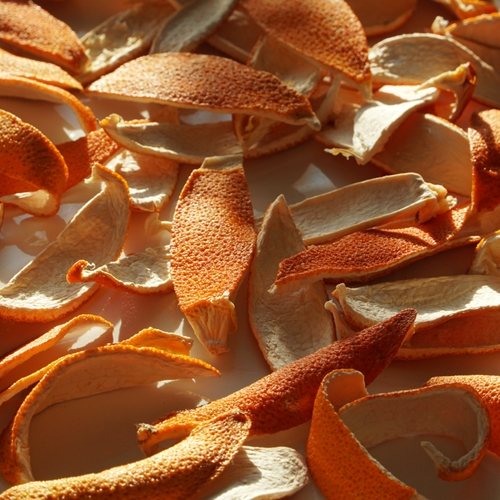 Perfumers Apprentice - Clonal (IFF)