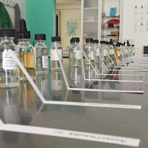 Perfumers Apprentice - Atlas Obscura (Bundle)**