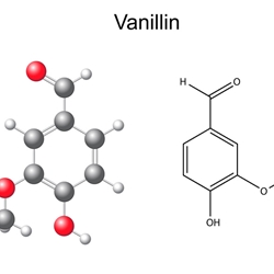 Perfumers Apprentice - Vanillin 10 (PG)